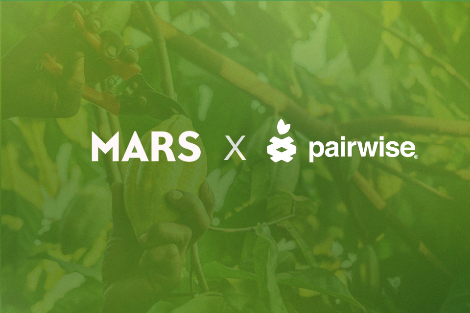 Mars and Pairwise Collaborate to Accelerate Cacao Research and Development